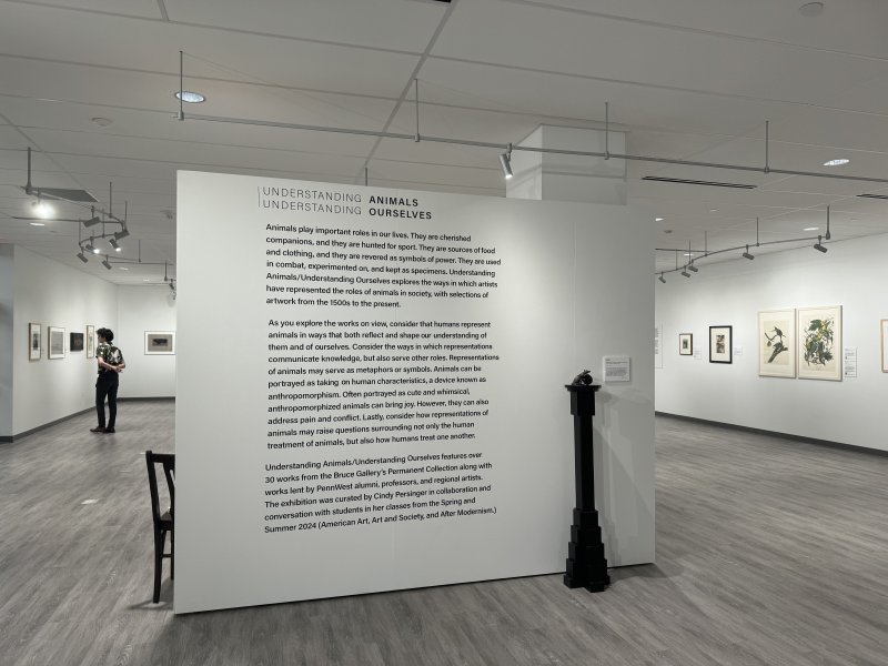 The Animal in Us: Bruce Gallery Exhibition Offers a Revealing Look into ...